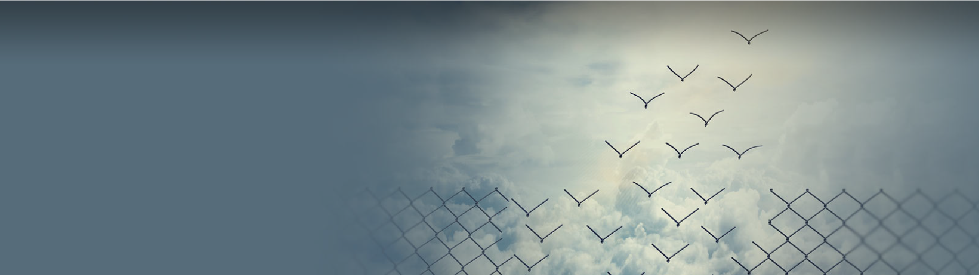 FIDE FORUM - Exclusive for Financial Institutions’ Directors